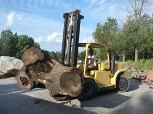 Walt Rickli – Stone Sculptor